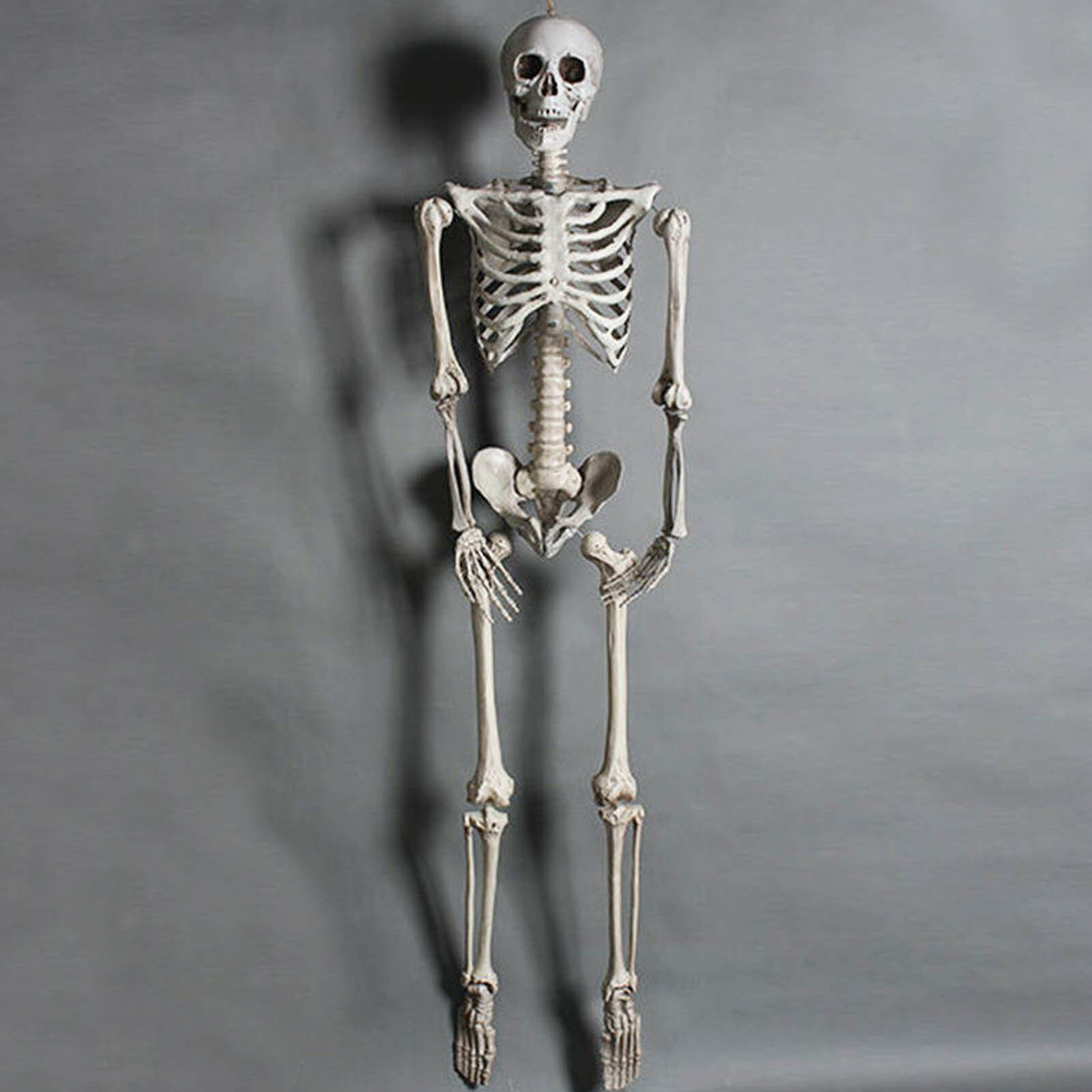 170cm Human Skeleton Life Size Skull Full Body Anatomy Model Halloween ...