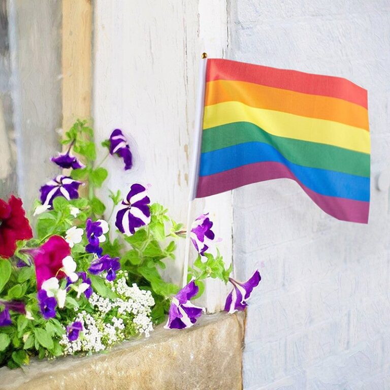 1x Large+ 2x Small Rainbow Flag LGBT Gay Pride Banner Mardi Gras Party ...